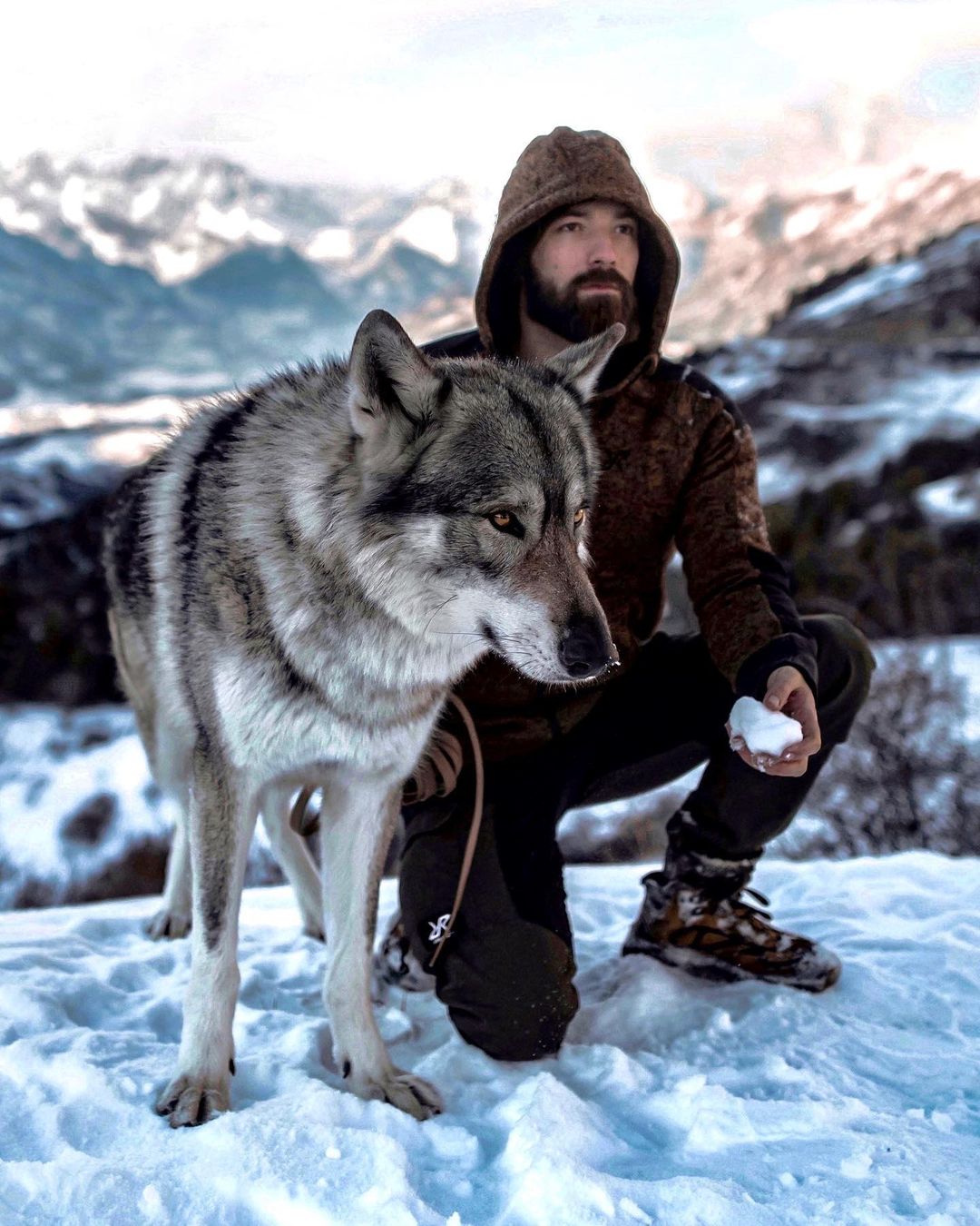 wolf_instinct@instagram on Pinno: Hello pack! It's been 6 years now ...