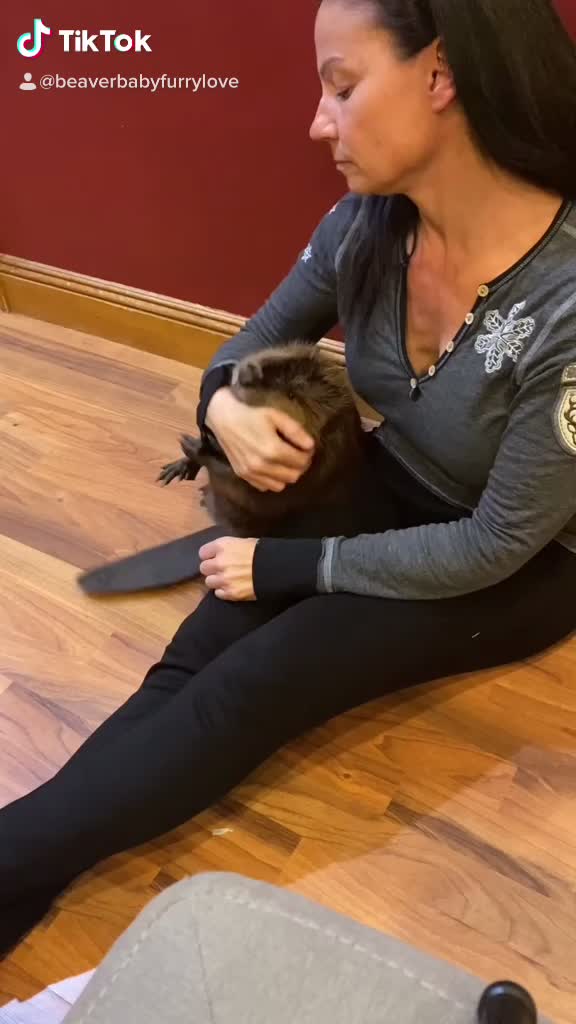 beaverbabyfurrylove@tiktok on Pinno: Beave was always learning through ...
