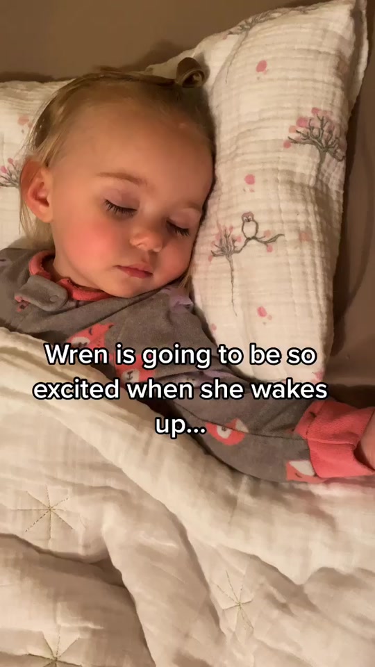 wren.eleanor@tiktok on Pinno: I can’t believe this really happened 🥺