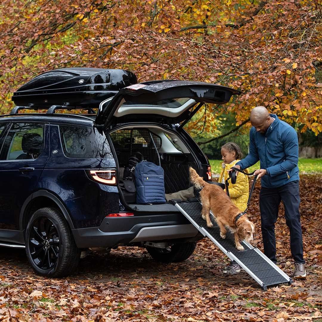landrover@instagram on Pinno: Ramp up the enjoyment of your dog walks....