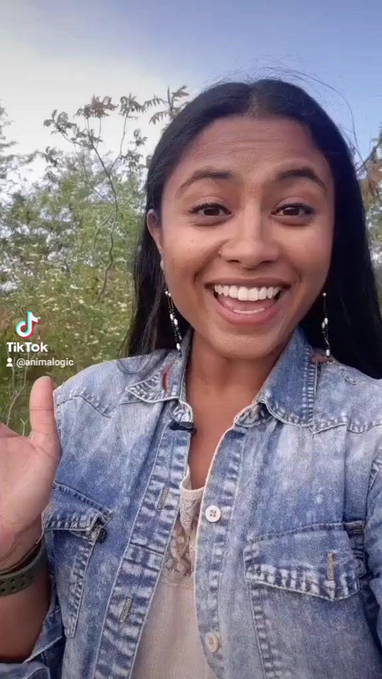 animalogic@tiktok on Pinno: Meet our new host Aranya for our very ow...