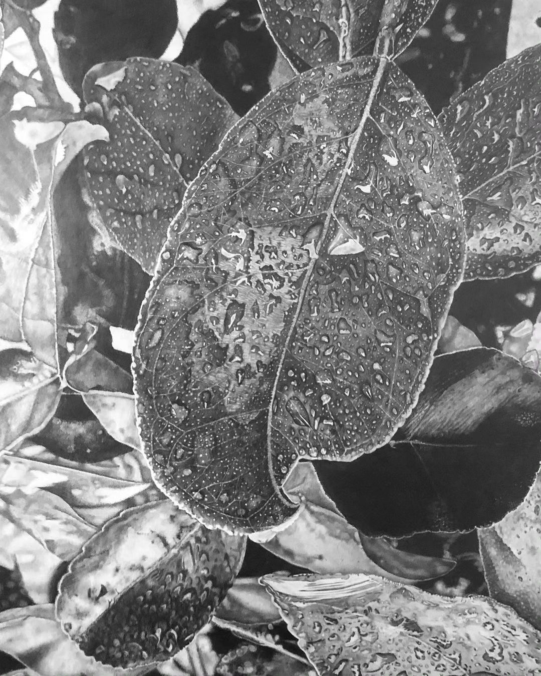 graphite.masters@instagram on Pinno: Realistic drawing by @irismartins ...