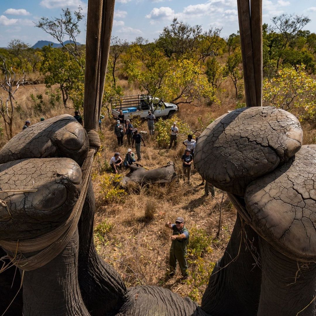 natgeo@instagram on Pinno: Photos by Pete McBride @pedromcbride@ins...