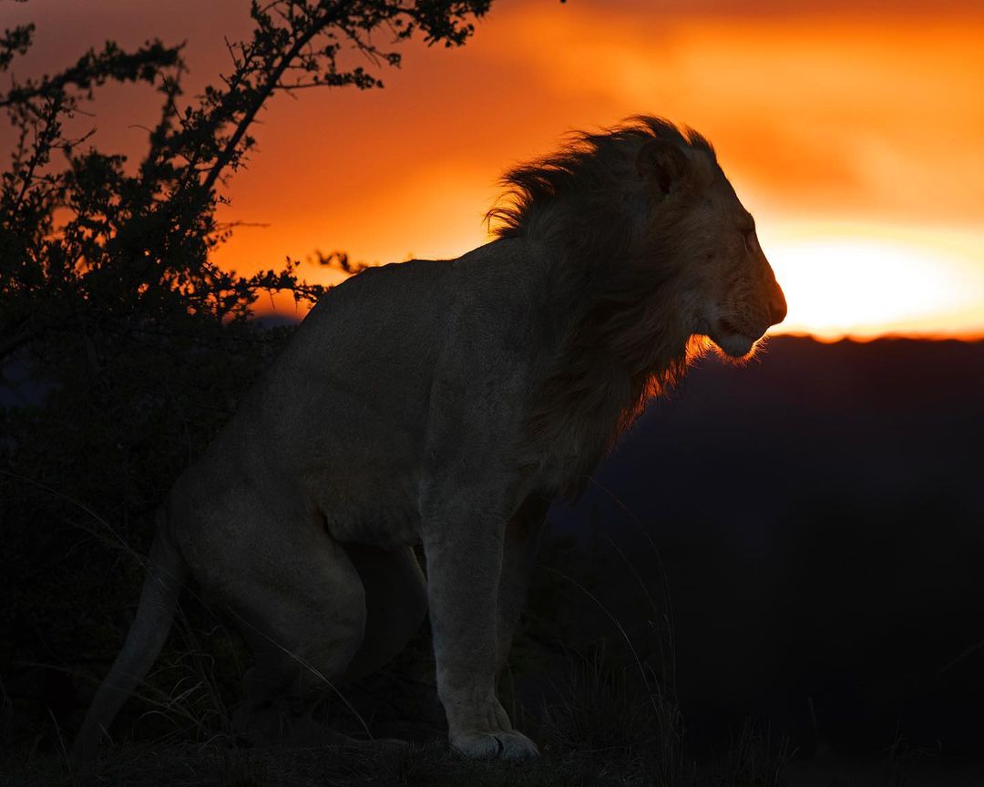 sachin_rai_photography@instagram on Pinno: Light! #GlidingFrogTours # ...