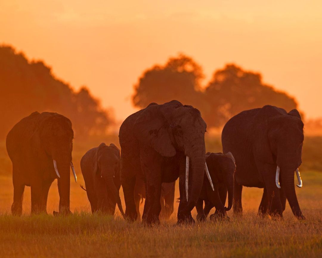 sachin_rai_photography@instagram on Pinno: Light! #GlidingFrogTours # ...