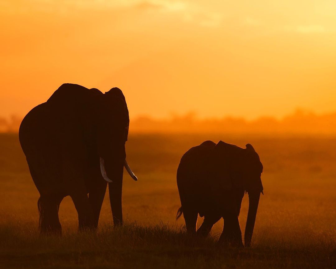 sachin_rai_photography@instagram on Pinno: Light! #GlidingFrogTours # ...