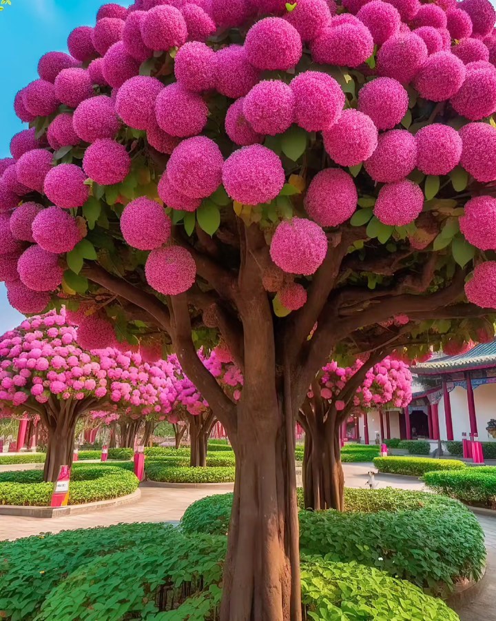 lovinghautecouture@instagram on Pinno: 🌳💖 1, 2, 3, 4, 5 or 6?? 🎥 via @naturesms...