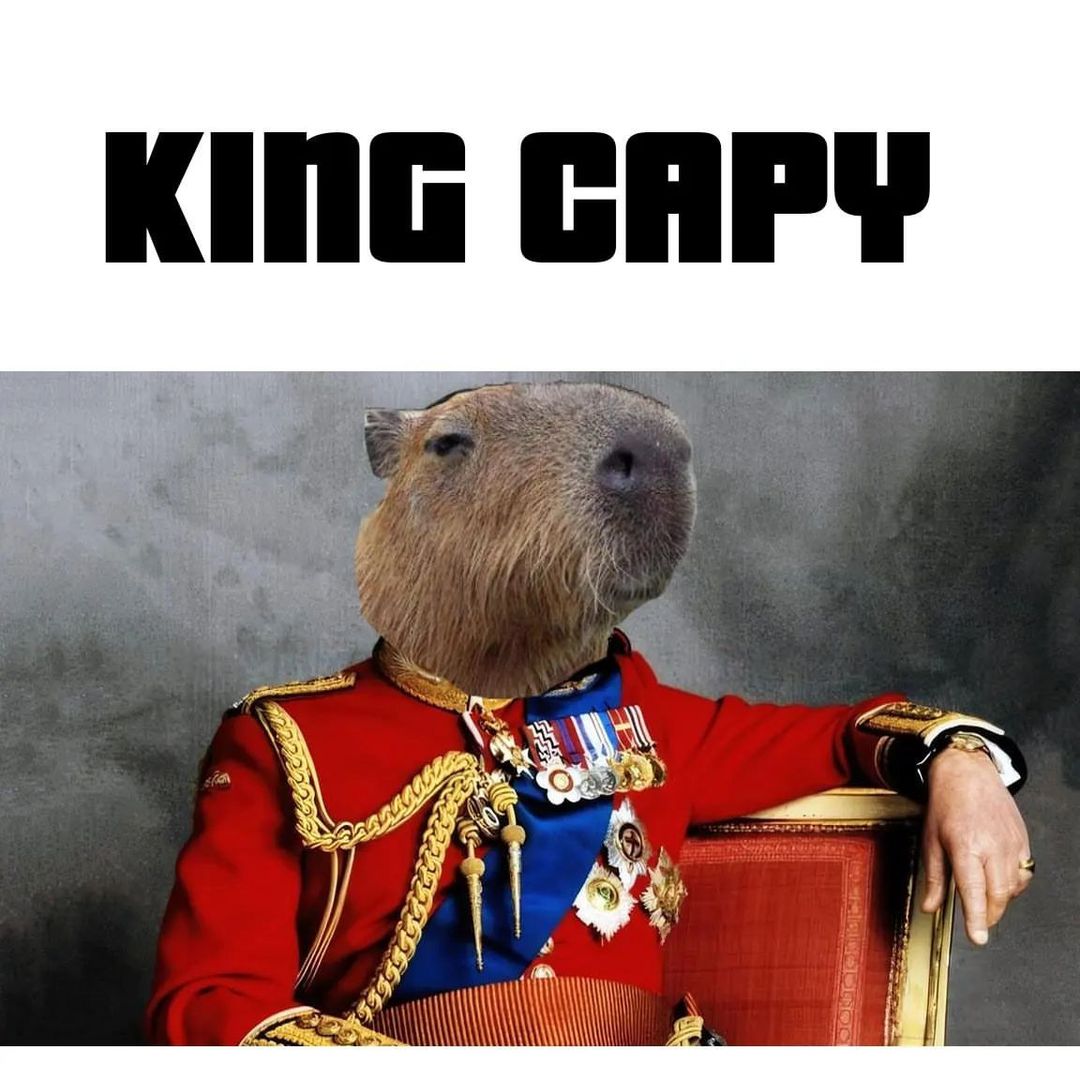 ilove.capybara@instagram on Pinno: It's conation day! ️ Join the Capy ...