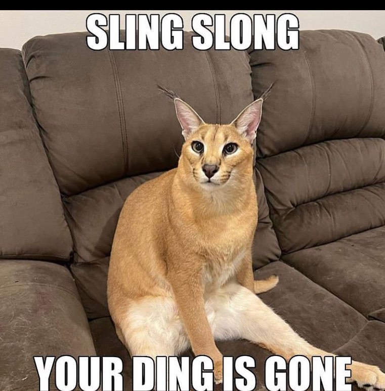 i_floppa@instagram on Pinno: Fr - Credit: @floppa.army@instagram - J...